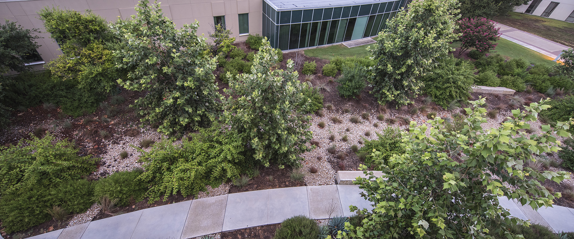 SNPRC Leadership Group - Southwest National Primate Research Center